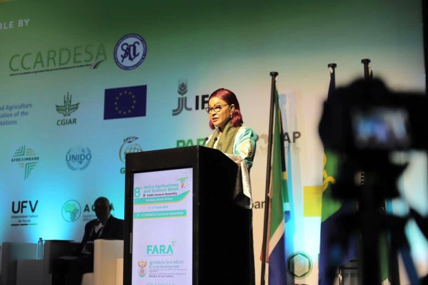 Josefa Sacko: "África precisa de ligações mais fortes entre a ciência e ...